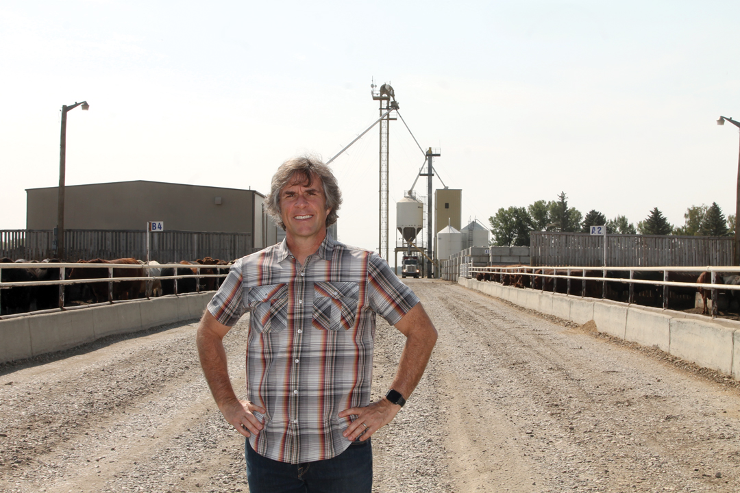 FEEDLOT FORTUNES – GrainsWest
