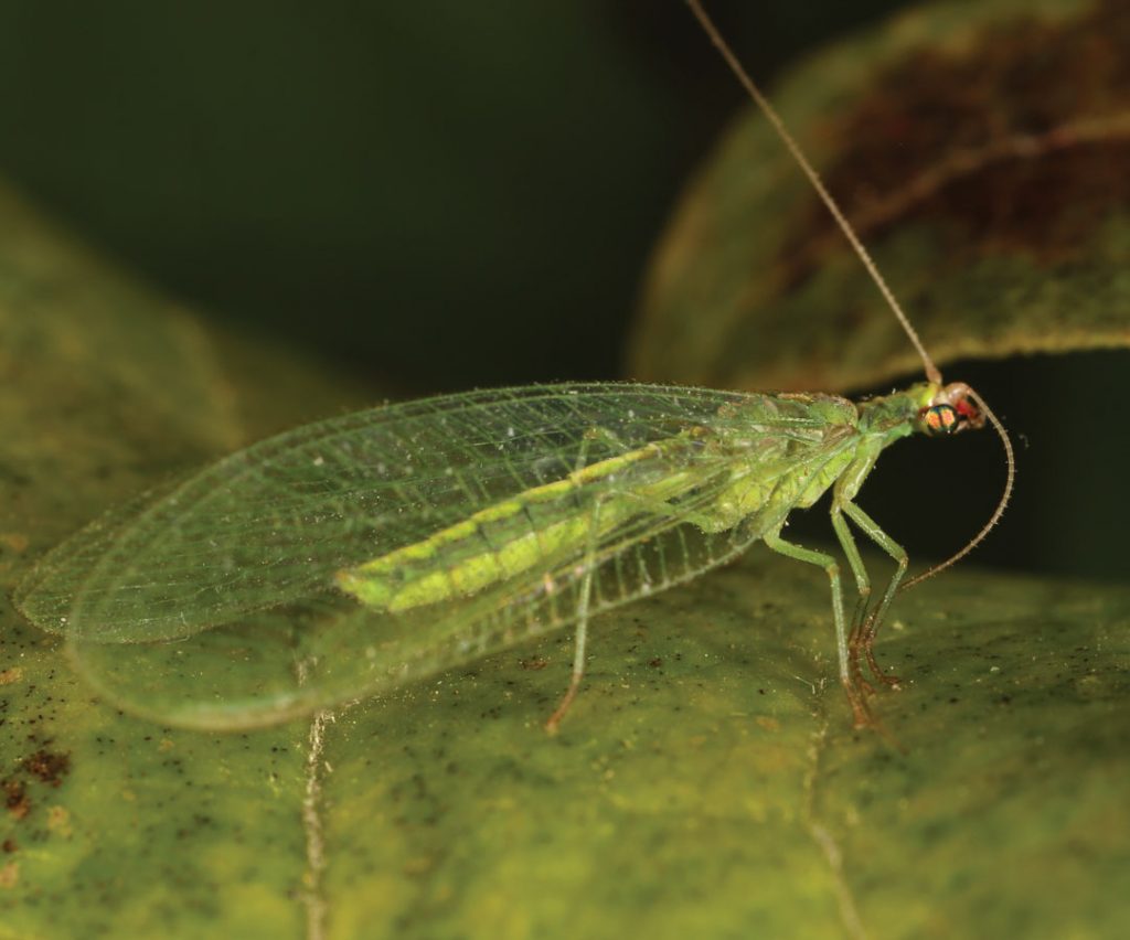 FRIENDS WITH BENEFITS – GrainsWest