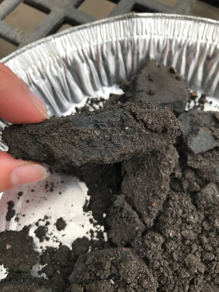 SCUM OF THE EARTH – GrainsWest