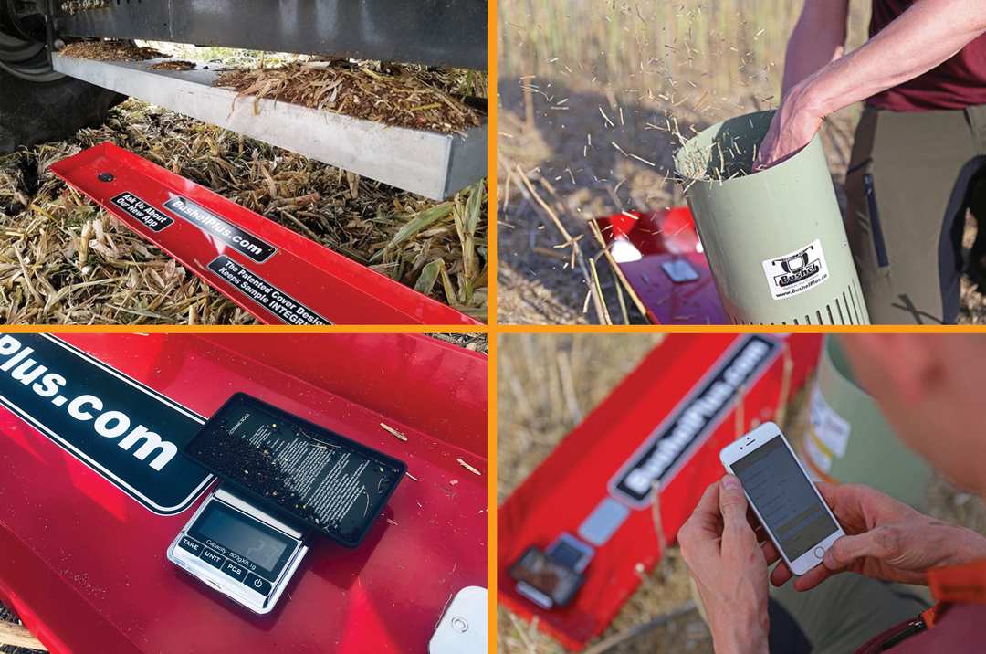 HARVEST HELPERS – GrainsWest