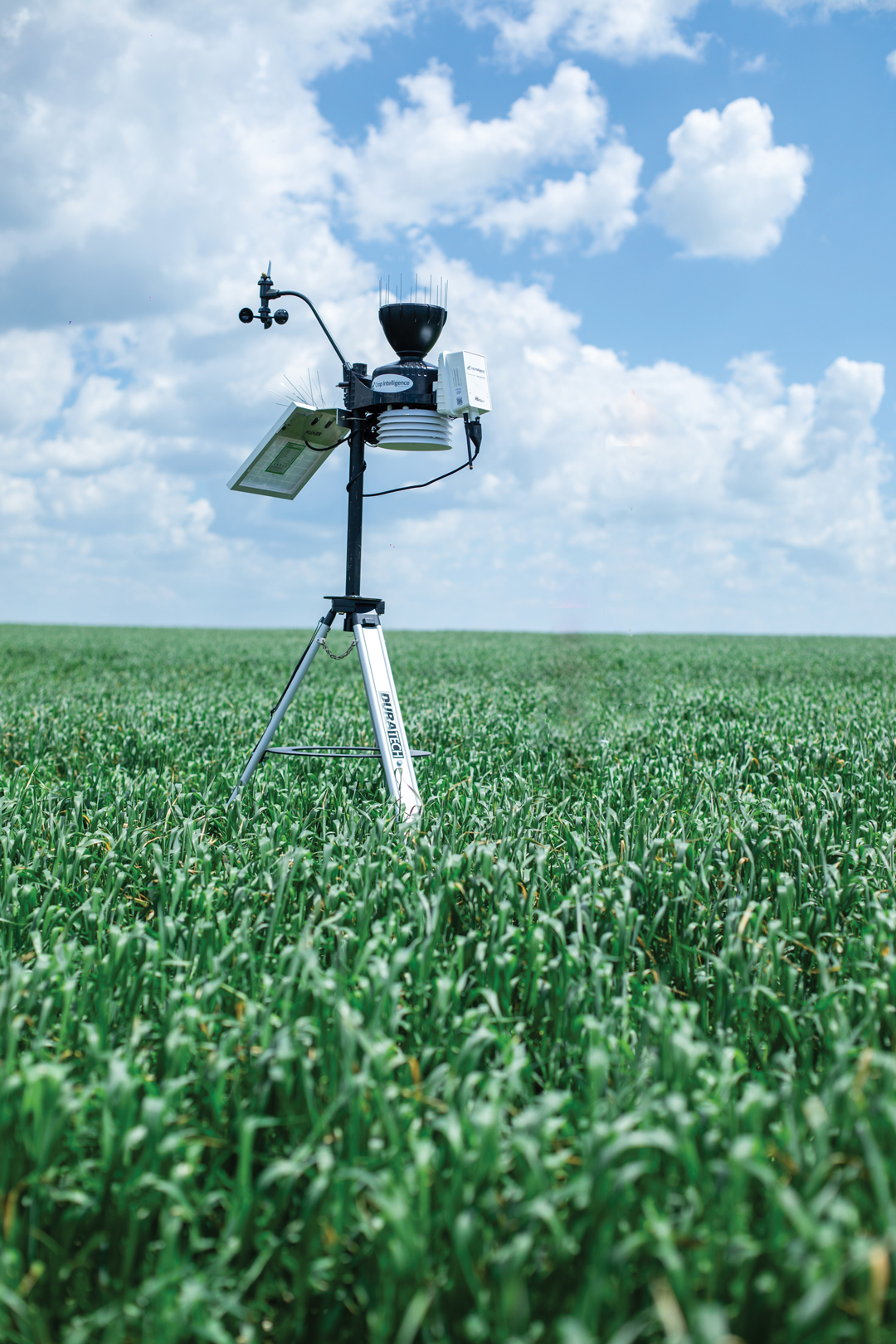 EASY DOES IT – GrainsWest