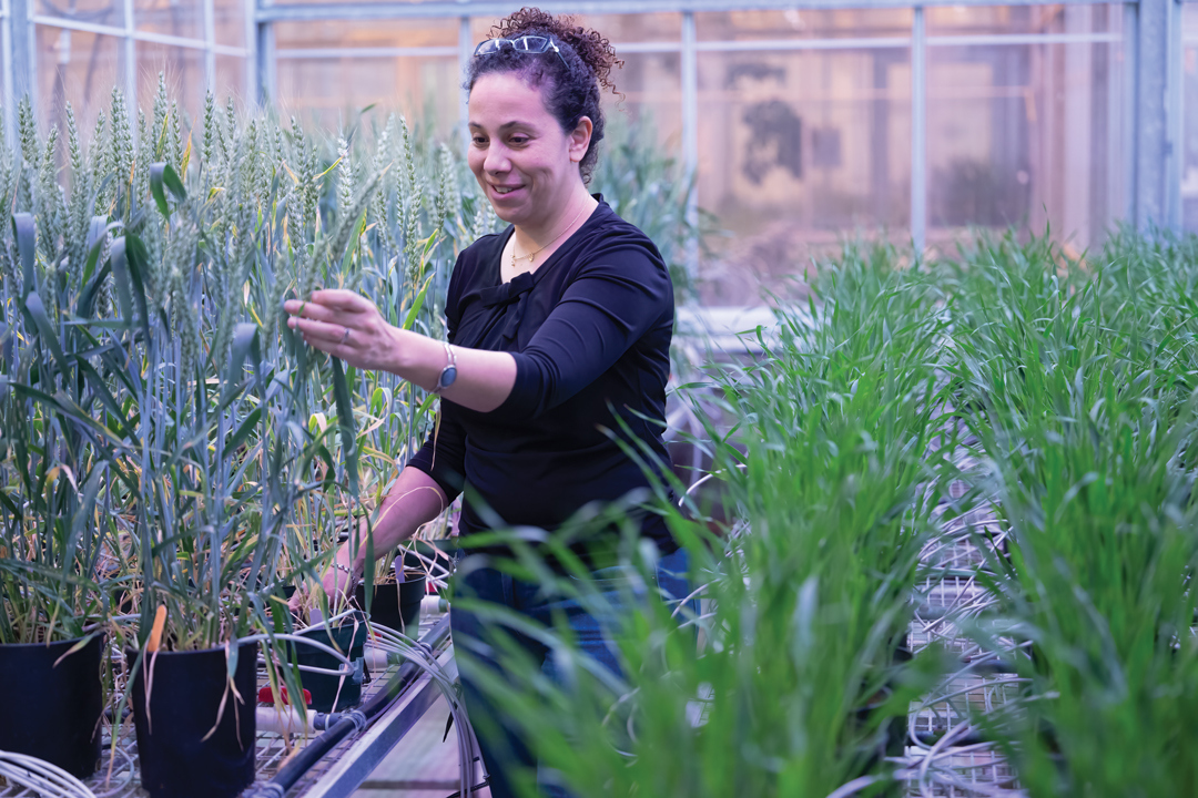 ENDANGERED SPECIES – GrainsWest